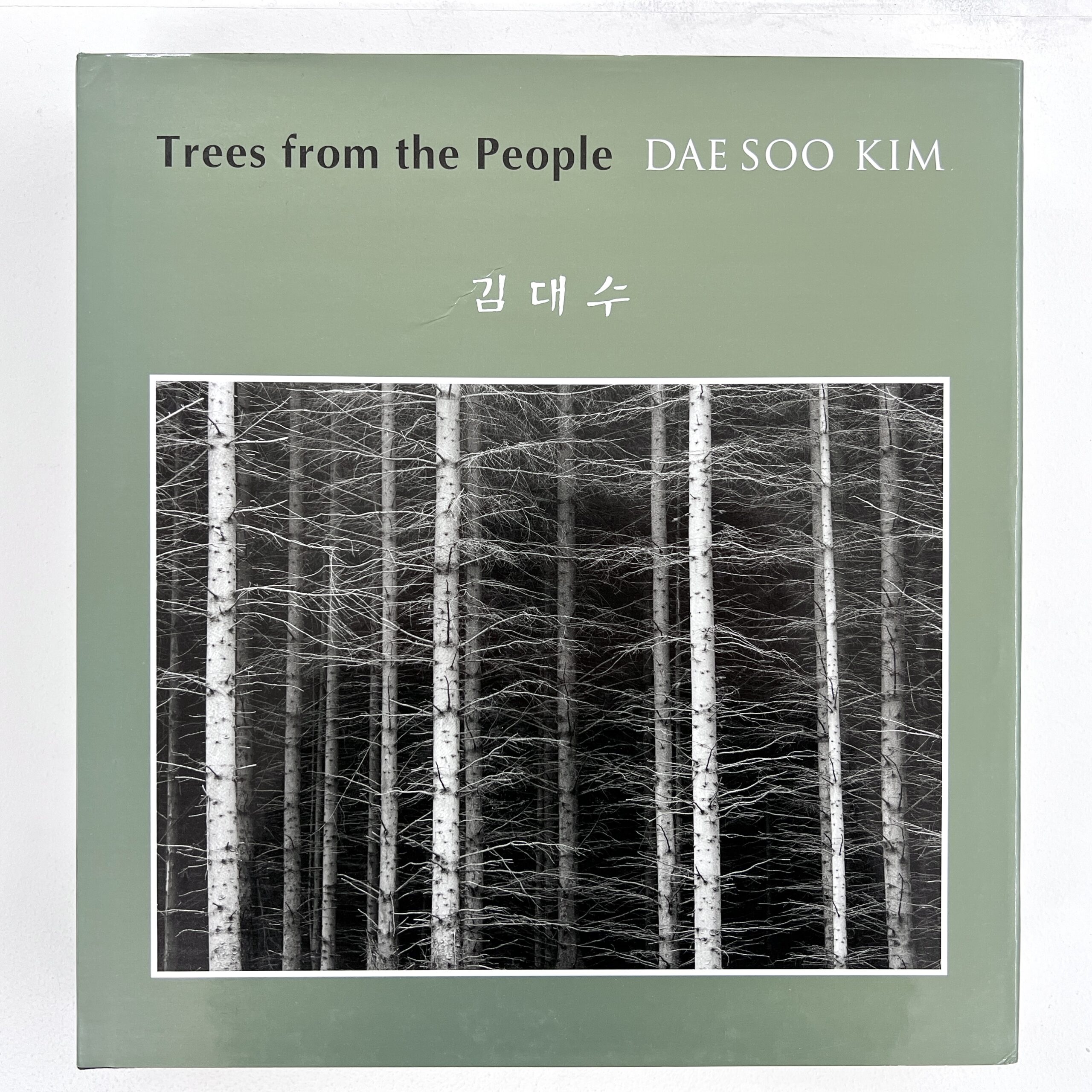 Dae Soo KIM "Trees from the People" - Galerie PJ