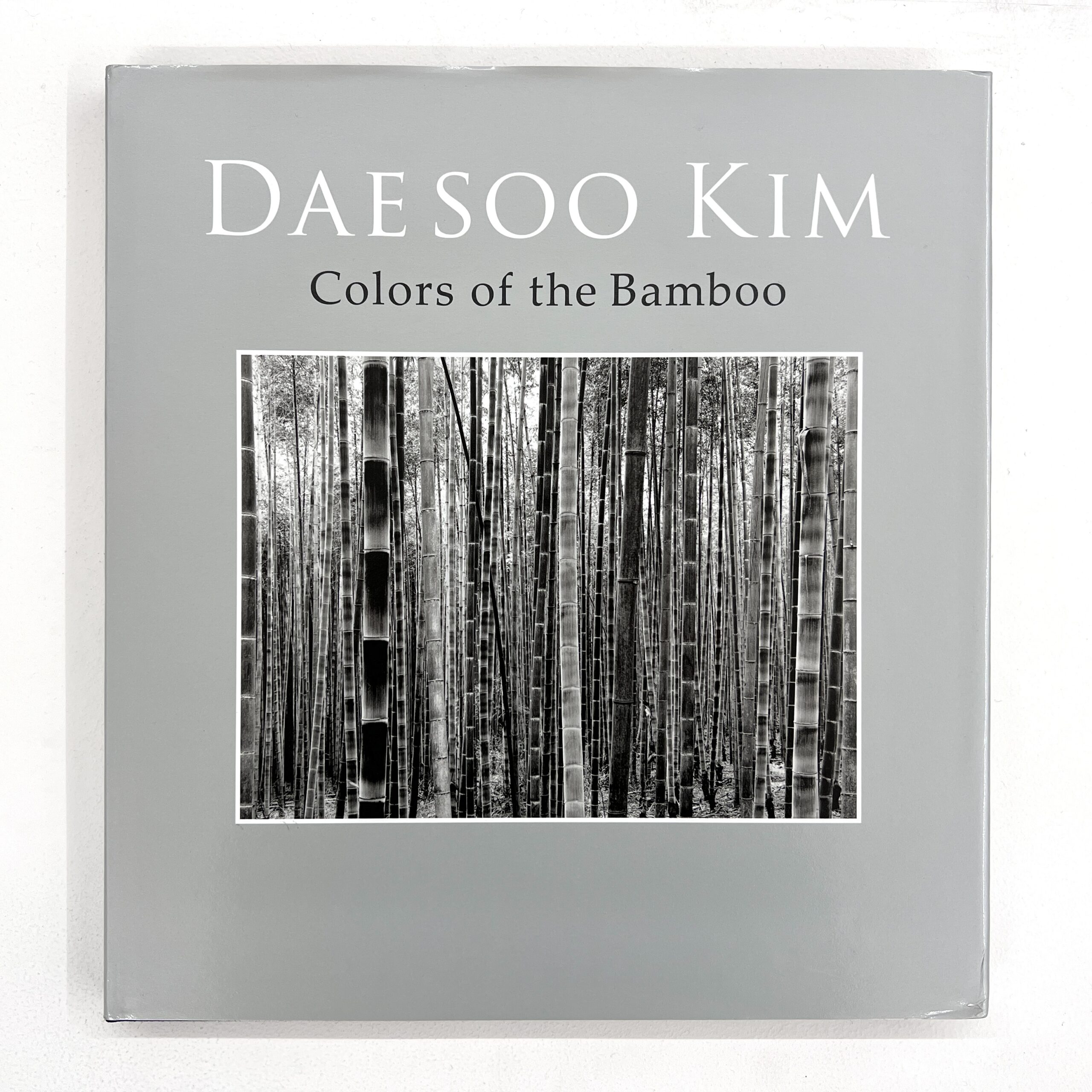 Dae Soo Kim "Colors of the Bamboo" - Galerie PJ